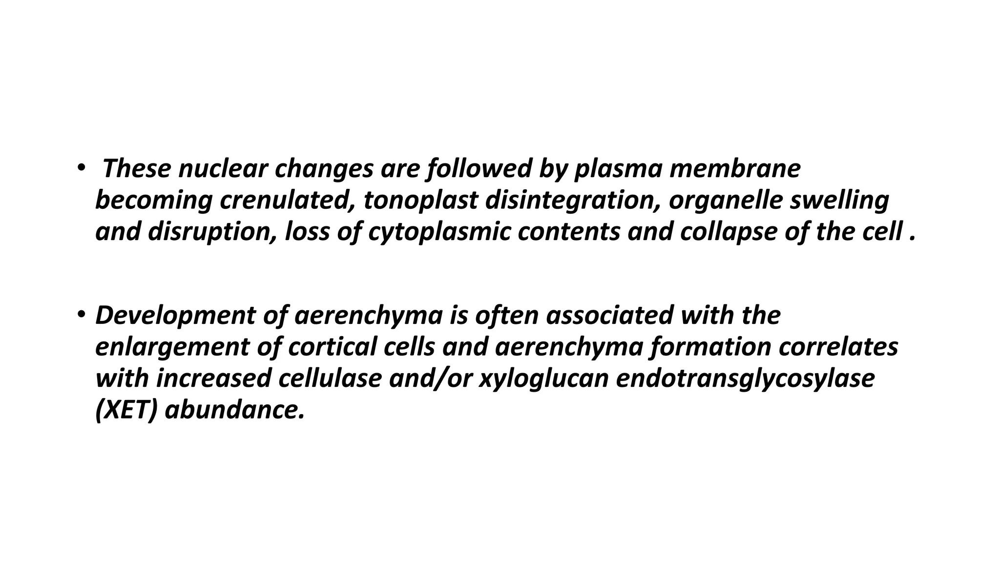 1589270667-43-morphological-changes-due-to-oxygen-deficiency.pptx