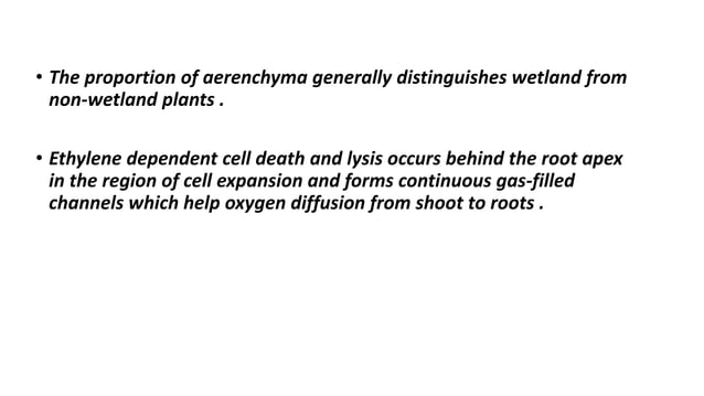 1589270667-43-morphological-changes-due-to-oxygen-deficiency.pptx