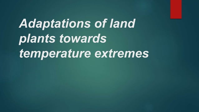 adaptations-of-land-plants-towards-temperature-extremes (1).pptx