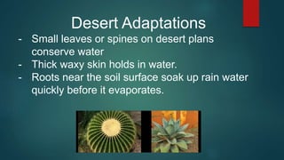 adaptations-of-land-plants-towards-temperature-extremes (1).pptx