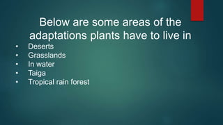 adaptations-of-land-plants-towards-temperature-extremes (1).pptx