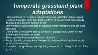 adaptations-of-land-plants-towards-temperature-extremes (1).pptx