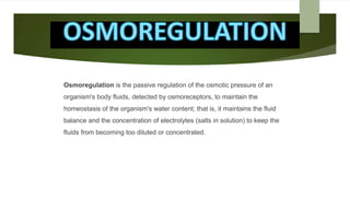1589271503-19-stress-and-osmoregulation-in-plants.pptx