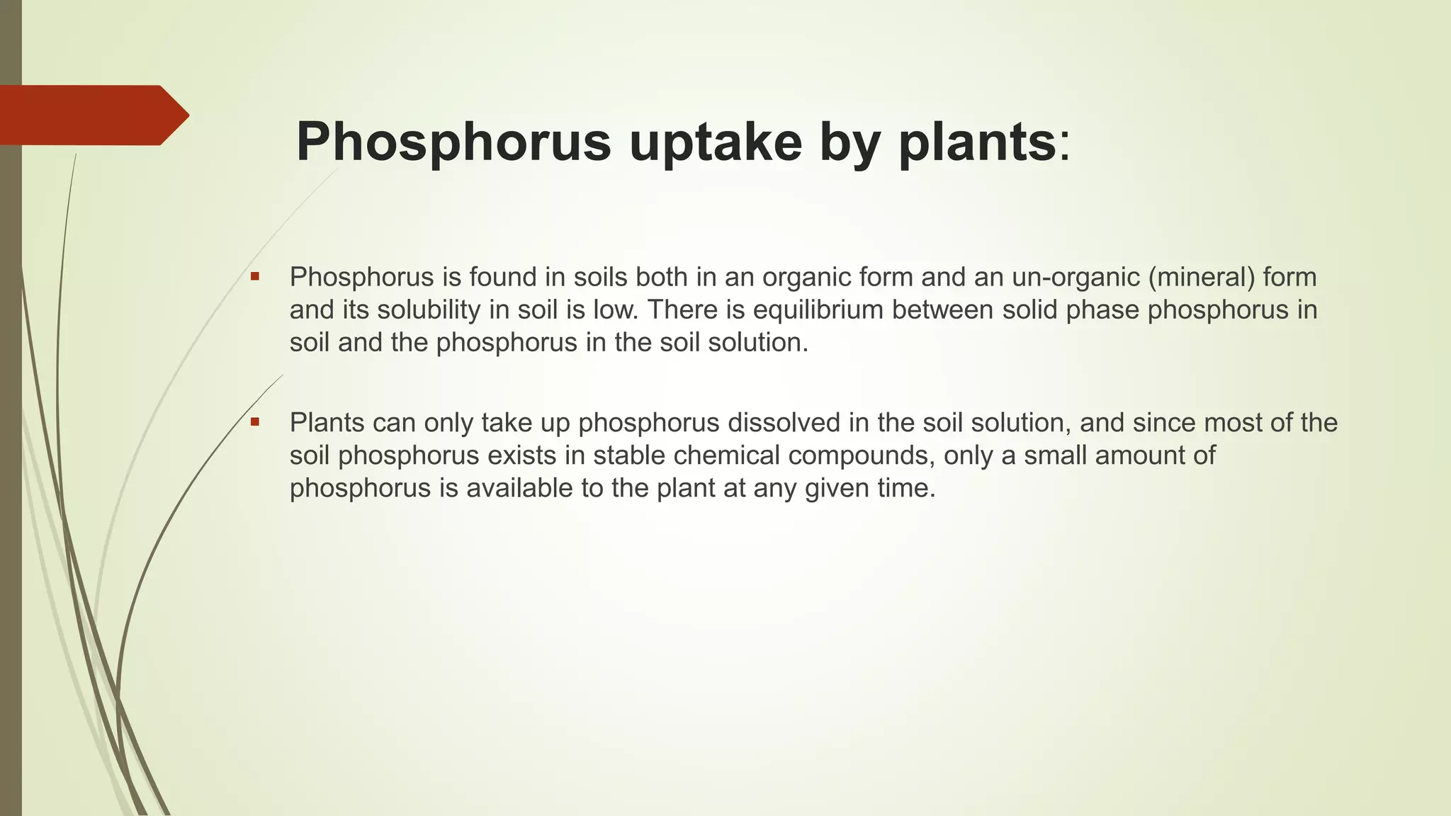 1589271661-15-physiology-and-ecology-of-phosphorus.pptx