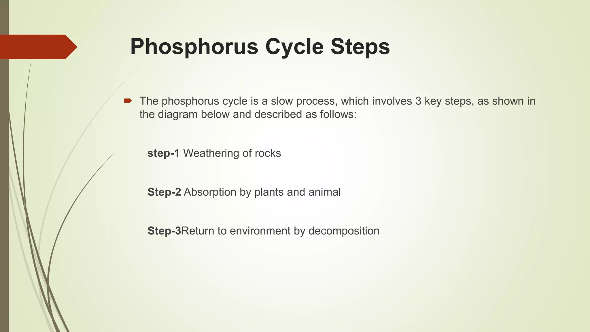 1589271661-15-physiology-and-ecology-of-phosphorus.pptx