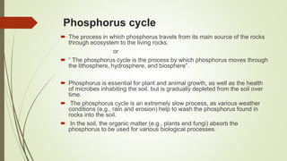 1589271661-15-physiology-and-ecology-of-phosphorus.pptx