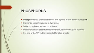 1589271661-15-physiology-and-ecology-of-phosphorus.pptx