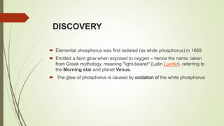 1589271661-15-physiology-and-ecology-of-phosphorus.pptx | Gardening ...