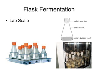 1589353475-fermentation.ppt12345789934578 | PPT