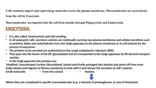 1589444204-endomembrane-system-and-vasicular-traficking.pptx