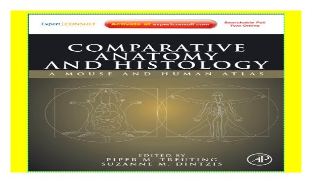 Comparative Anatomy and Histology: A Mouse and Human Atlas (Expert ...