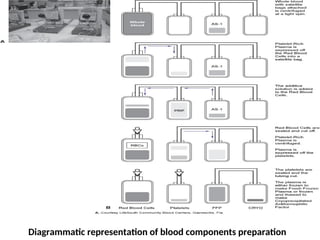 BLOOD_PRODUCTS, prepretion blood bank.ppt