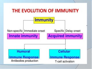 Immunology | PDF