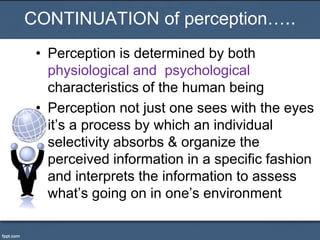 Perception (organisational behavior) | PPSX