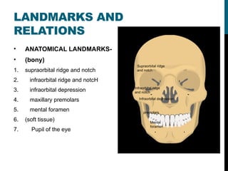 INFRA ORBITAL NERVE BLOCK Oral surgery presentation | PPTX