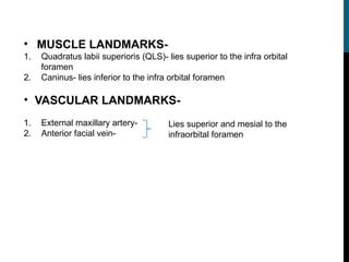 INFRA ORBITAL NERVE BLOCK Oral surgery presentation | PPT