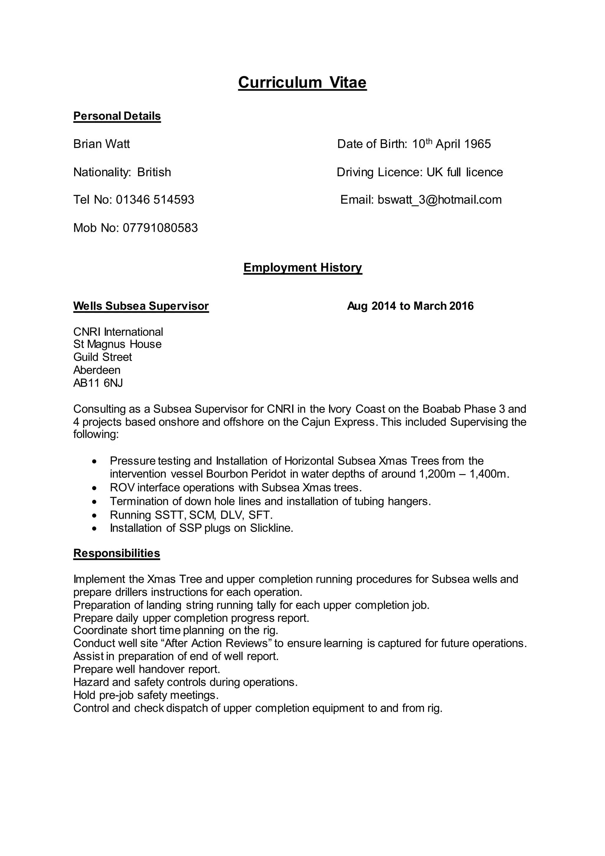 Updated CV | DOCX | Civil Engineering Industry | Industries