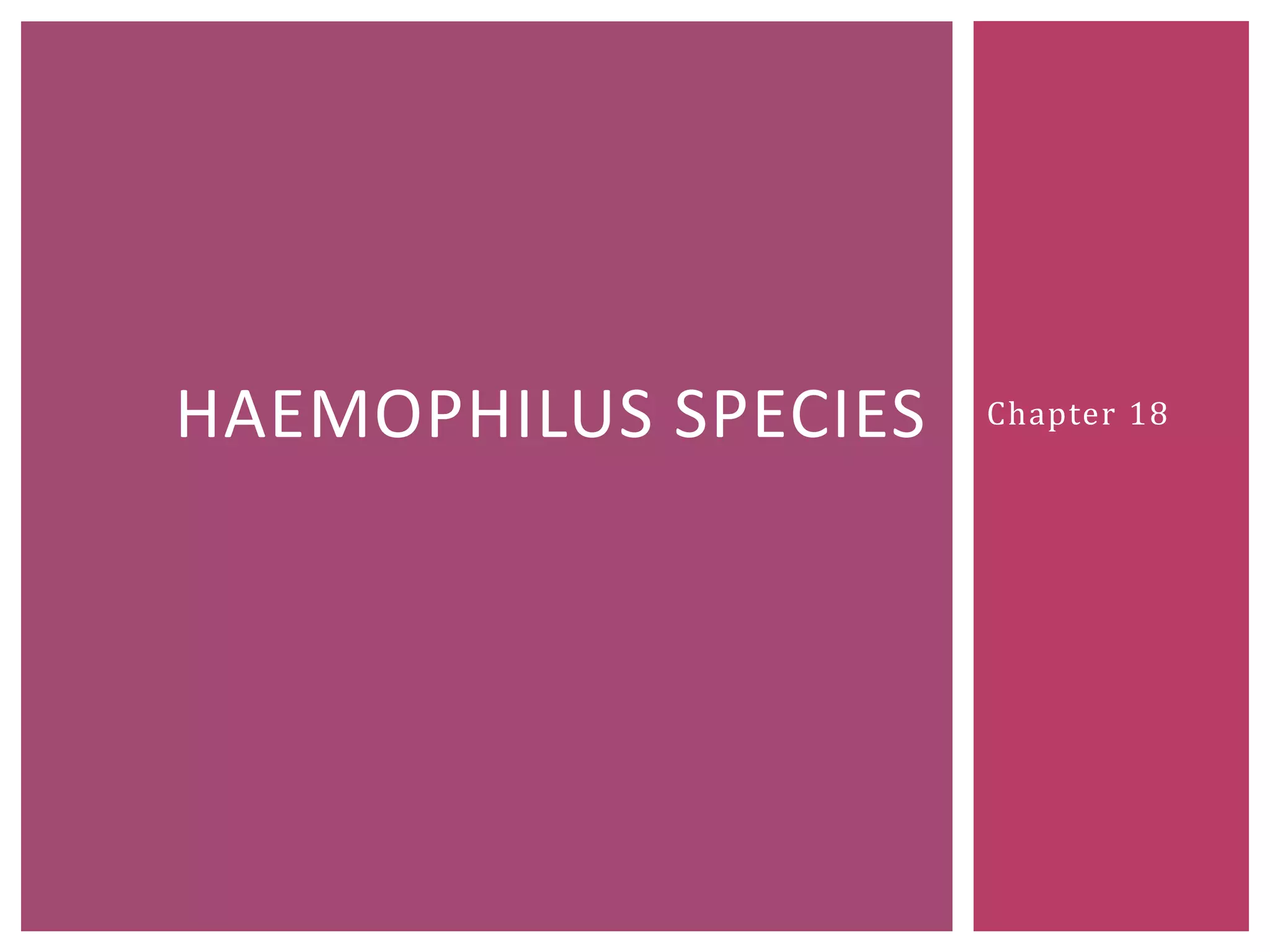 15a -chapter_18_-_haemophilus_species | PDF