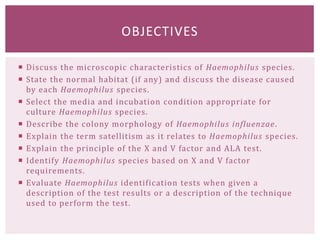 15a -chapter_18_-_haemophilus_species | PDF
