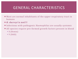 15a -chapter_18_-_haemophilus_species | PDF