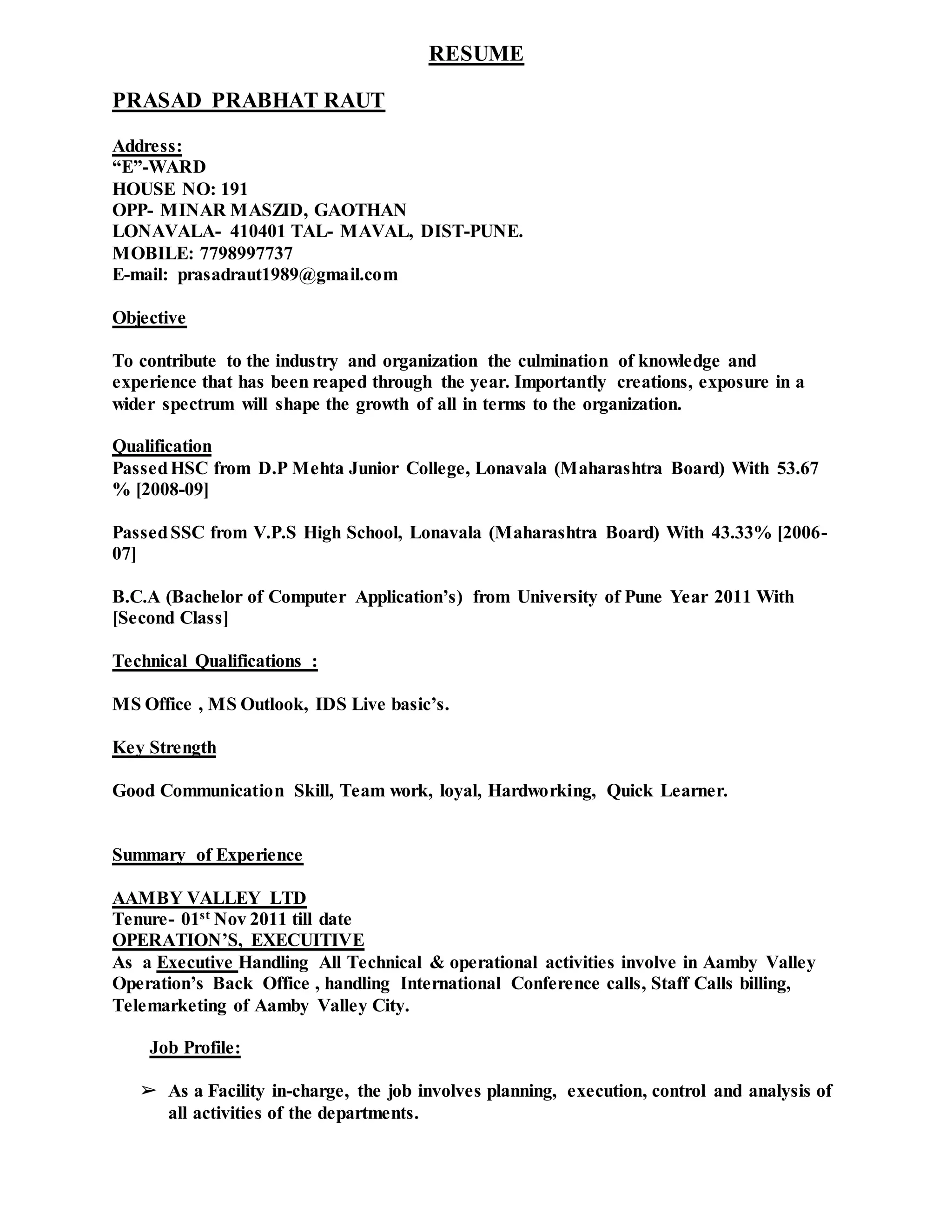 Prasad Raut Updated new C.V | DOCX | Business | Business and Finance