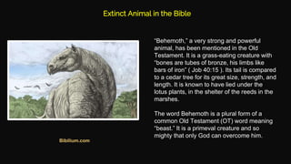 15 Amazing Facts About the Bible | PPTX