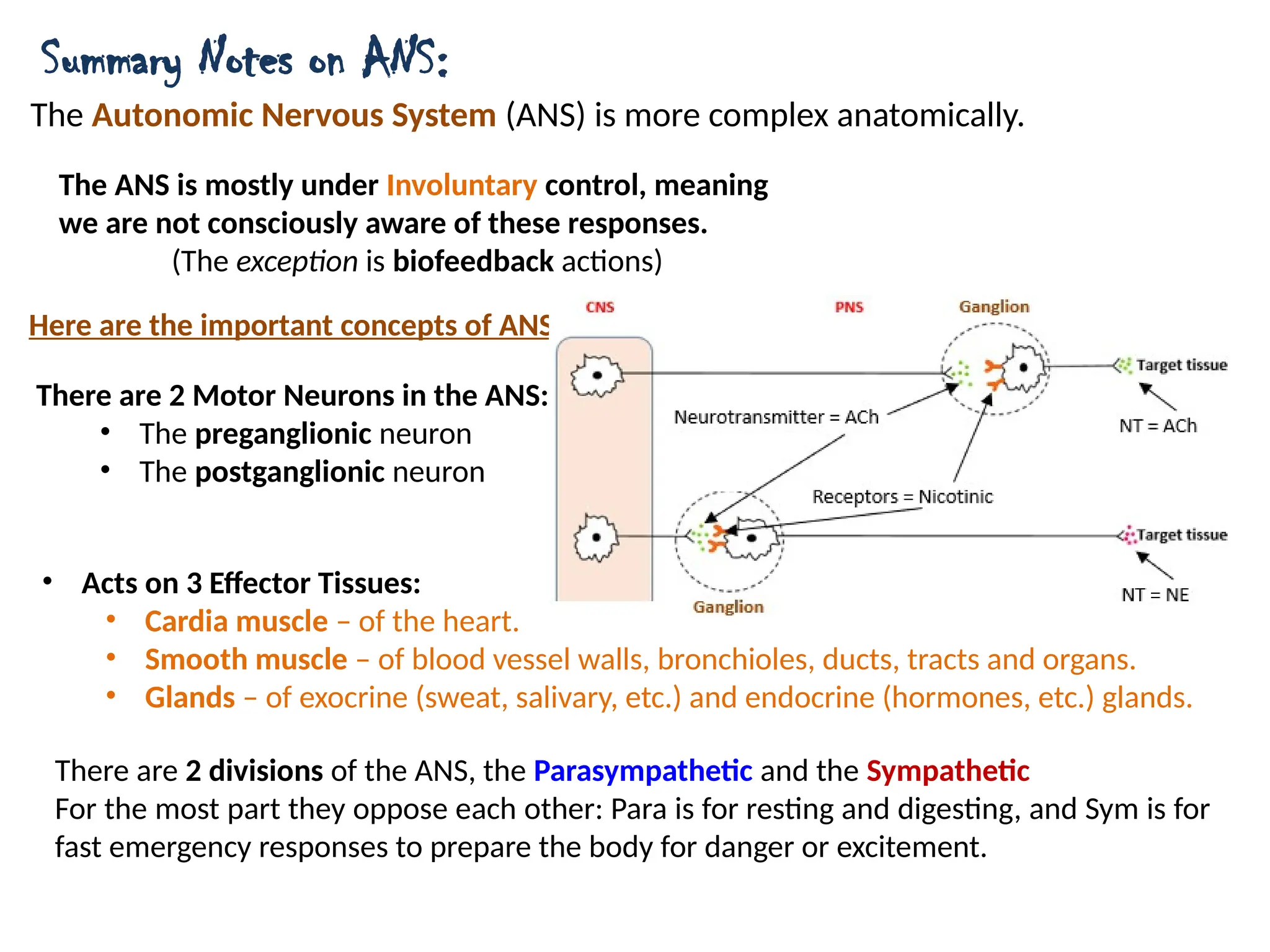 #15 ANS & SNS Anatomy IhaveafewthingsIneed.pptx