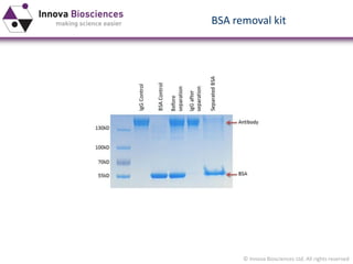 Antibody purification – what you need to know to use antibodies ...