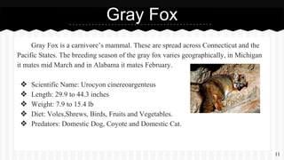 15 arrdya, rashmi, sanjana, shruti's guidebook | PPT