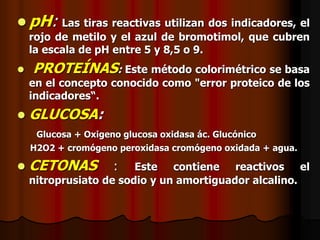 15 ava Semana uroanalisis ucmnc 24.ppt