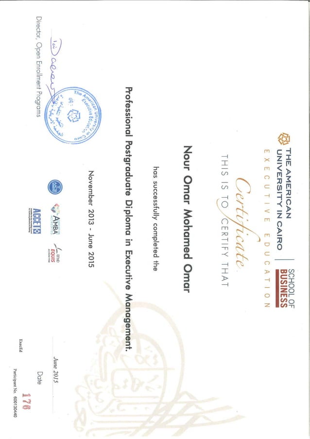 Executive Management Diploma-AUC | PDF