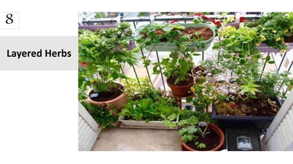 15 Best Terrace Gardening Ideas & Terrace Garden Easy Guide.pptx