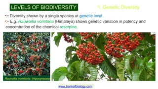 15 biodiversity n conservantion ppt part 1._pdf.urlgd.com - Copy.ppt