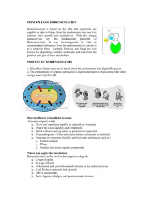 bioremediation for hazardous wastes | PDF