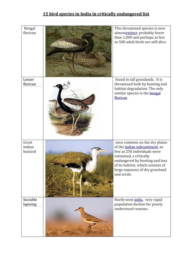 15 bird species in india in critically endangered list | PDF ...