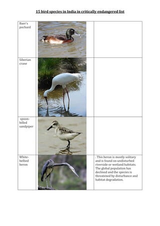 15 bird species in india in critically endangered list | PDF