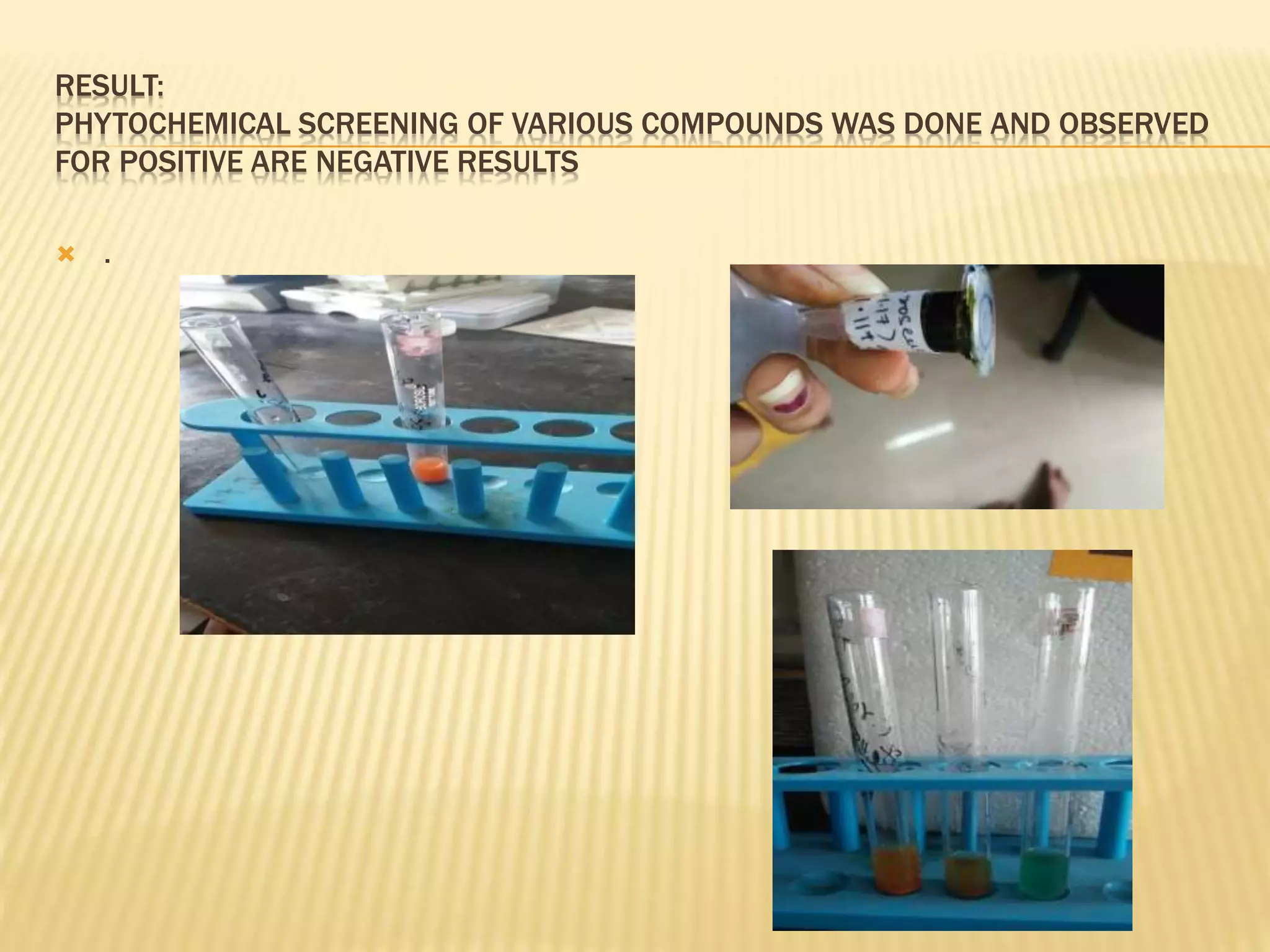 extraction of bioactive compounds from plant sources using maceration ...