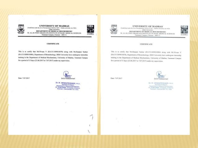 extraction of bioactive compounds from plant sources using maceration ...