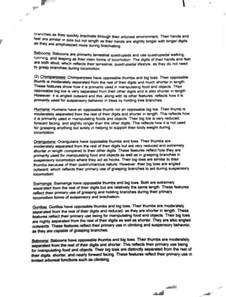 Primate Locomotion (Project 1) | PDF