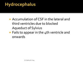15 cerebrospinal fluid | PPTX