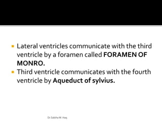 15 cerebrospinal fluid | PPT