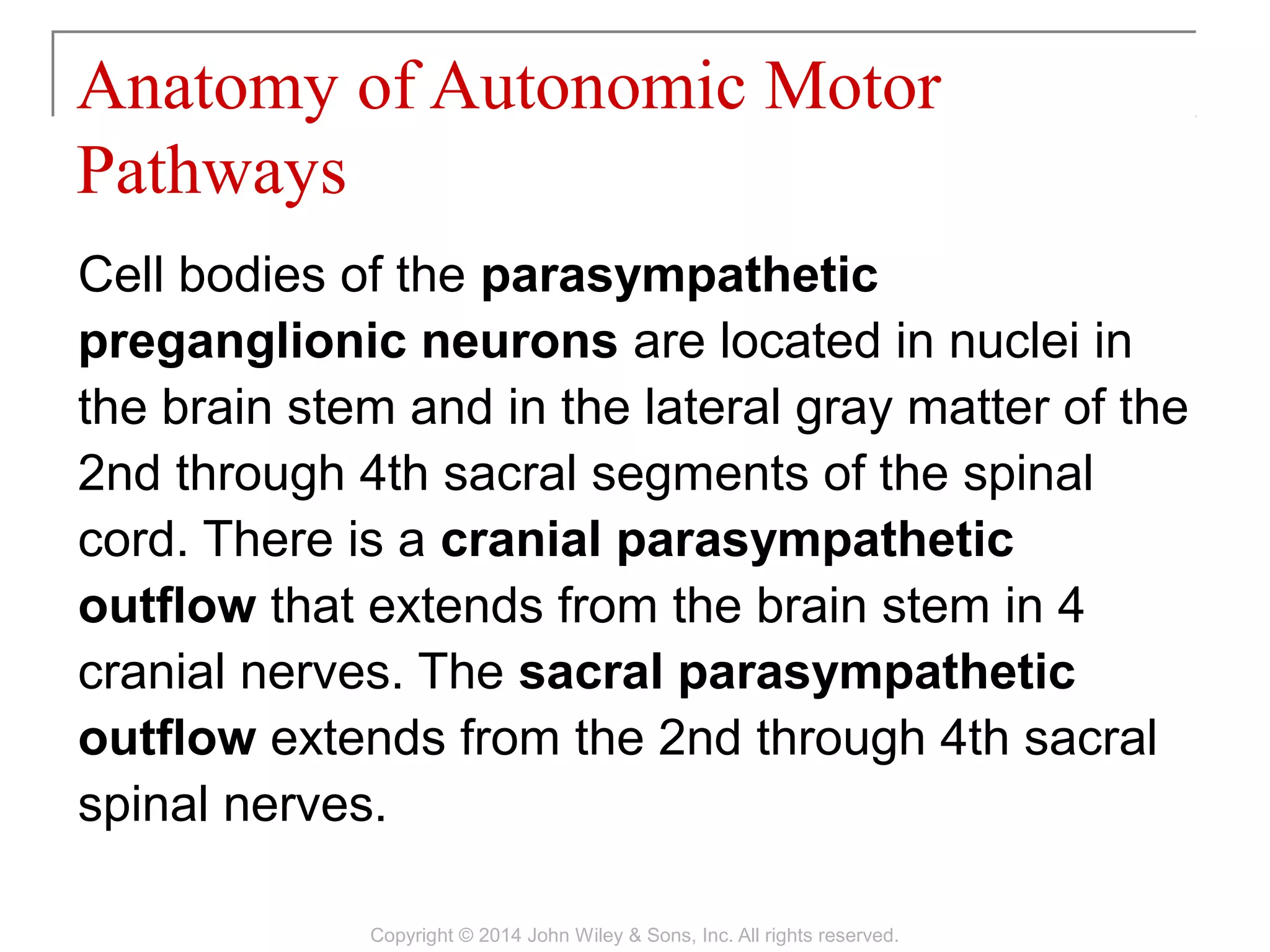 15 [chapter 15 the autonomic nervous system] | PPT