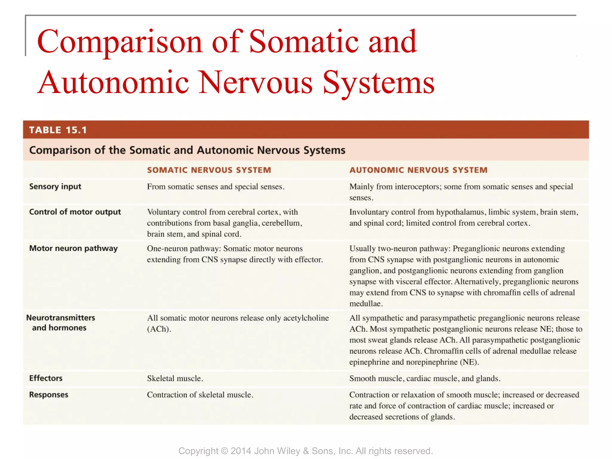 15 [chapter 15 the autonomic nervous system] | PPT