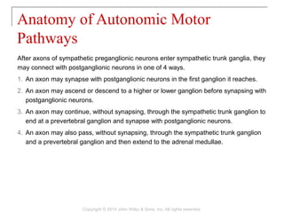 15 [chapter 15 the autonomic nervous system] | PPT