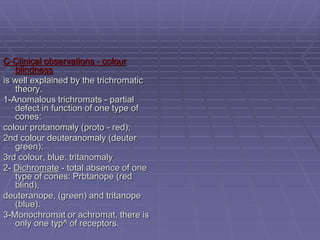 15 color vision.ppt