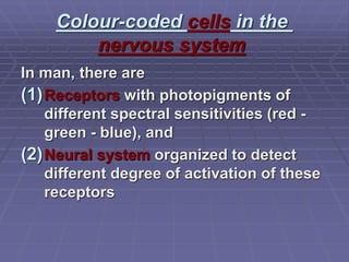 15 color vision.ppt