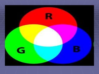 15 color vision.ppt