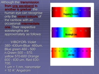 15 color vision.ppt