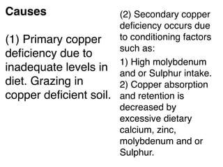 15 copper deficiency part 1 | PDF