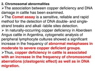 15 copper deficiency part 1 | PDF